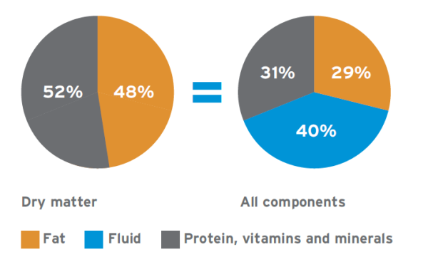 Protein