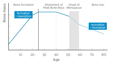 Figure 1: Course of the bone mass during life with women