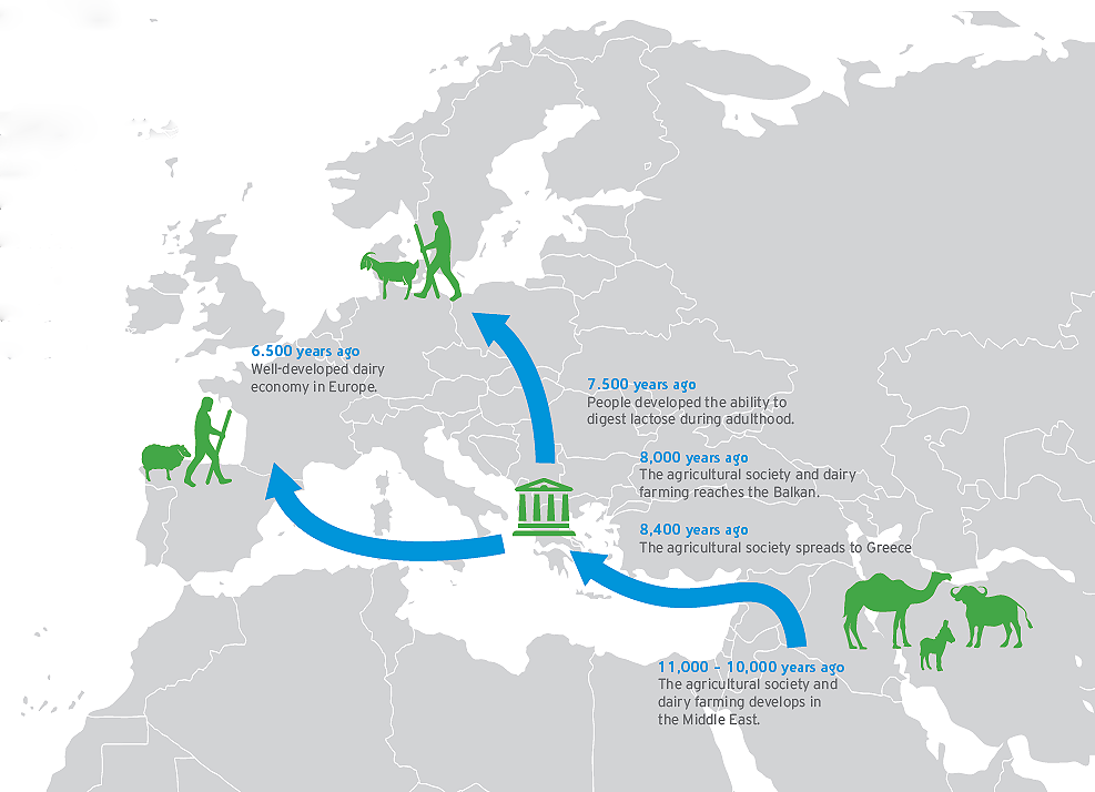The history of dairy