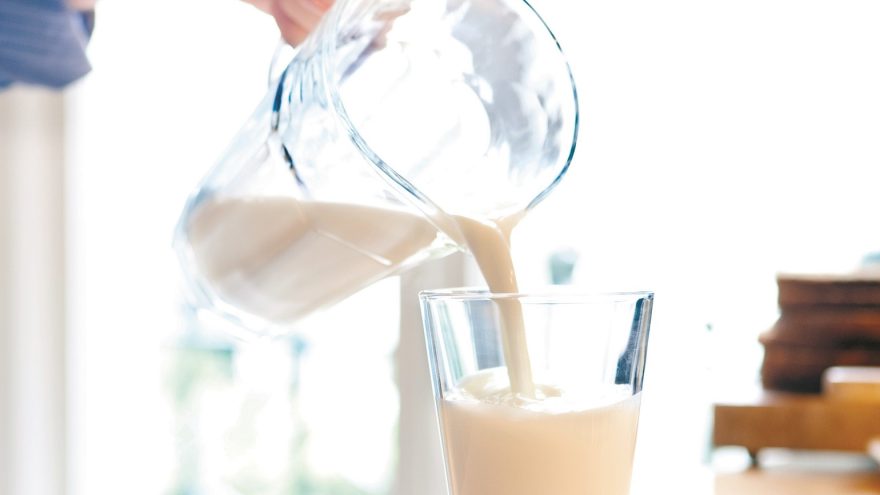 Nutrient levels in full-fat versus lower-fat dairy