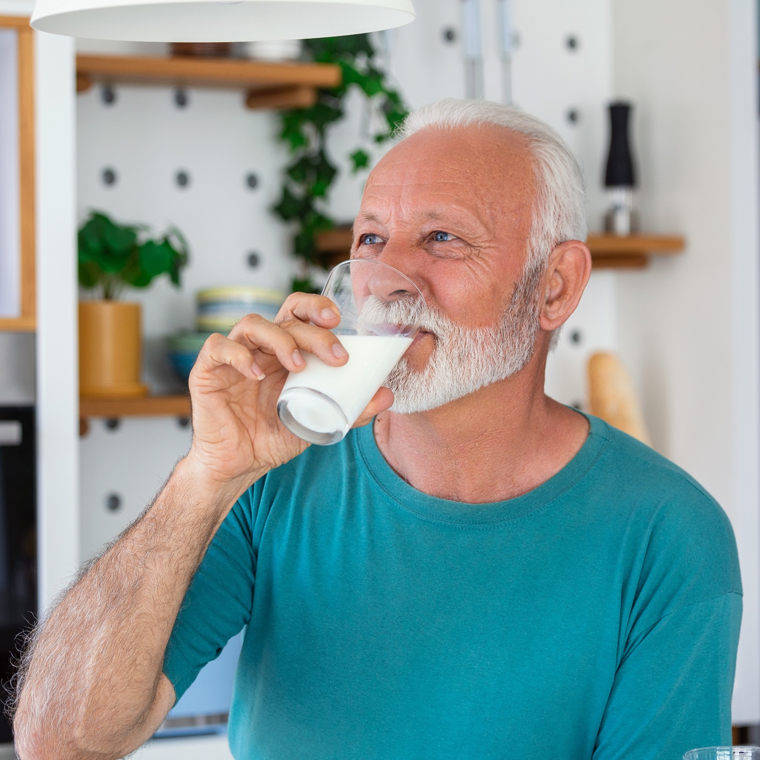 Extra protein from dairy products increases body weight in the elderly