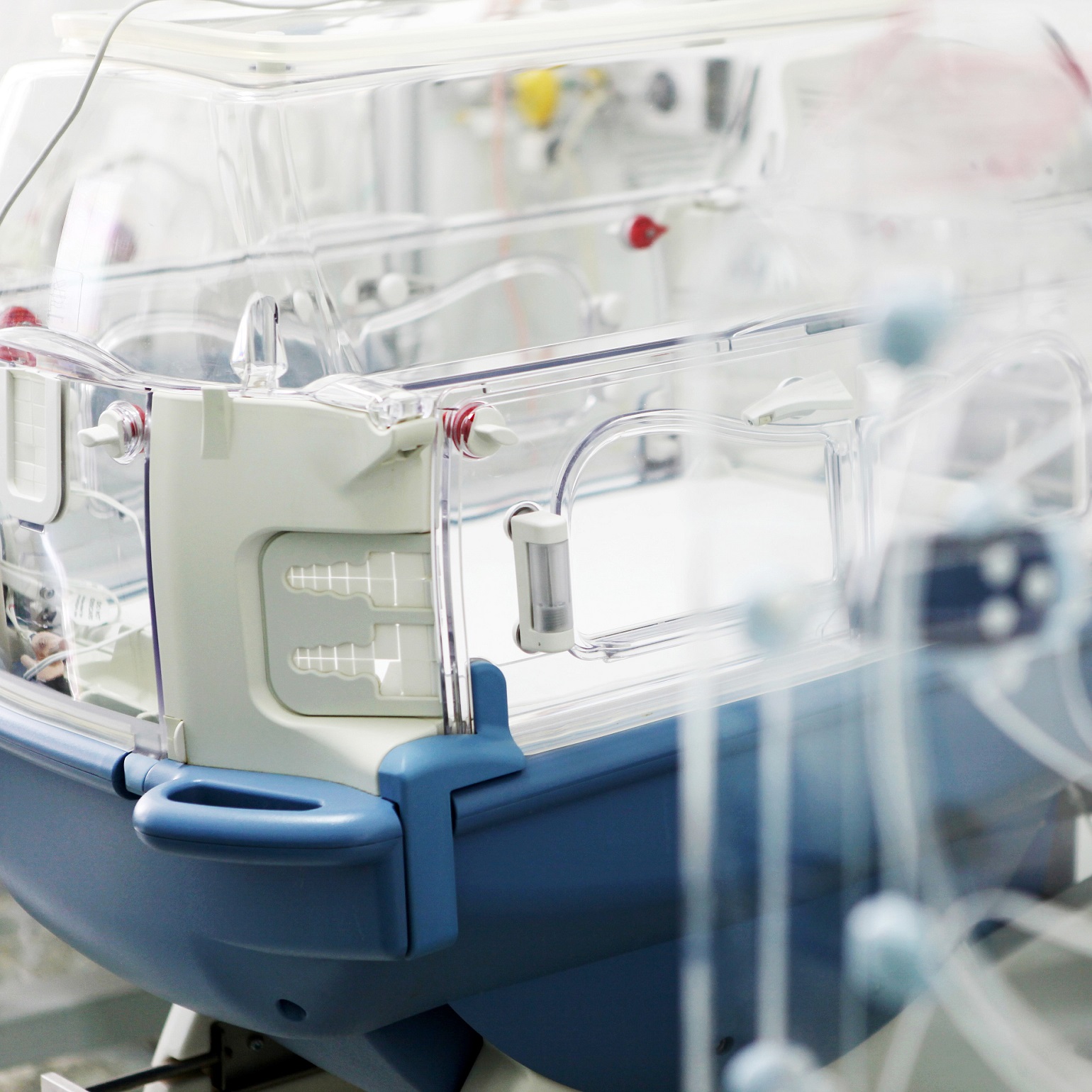 Preterm nutrition | International